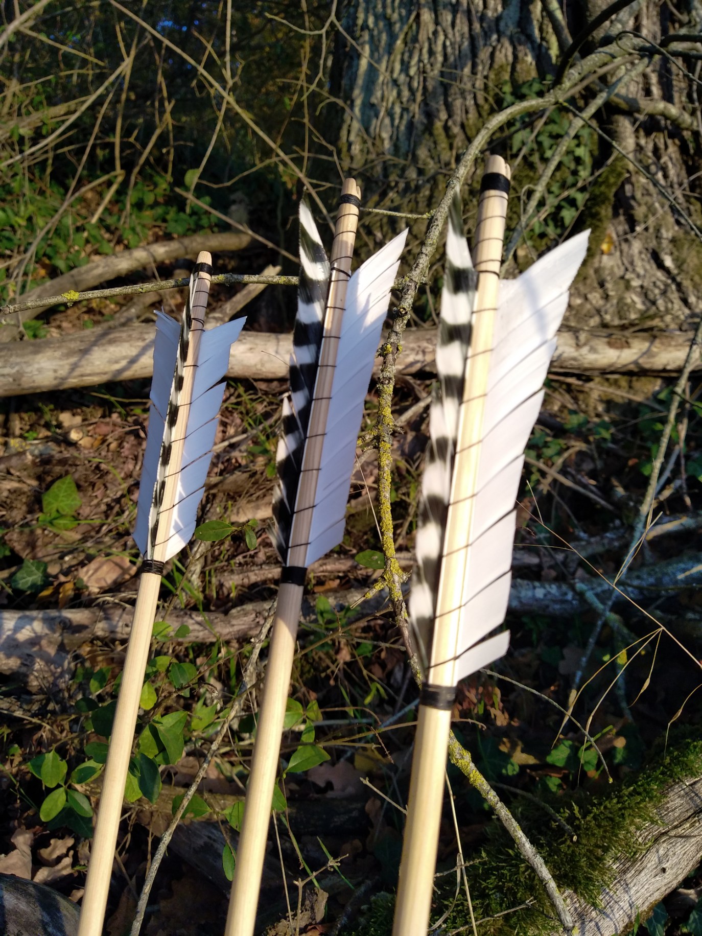 FLECHES – LM NATURE ET BOIS